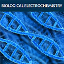 Biological Electrochemistry- Biofilms - Biosensors